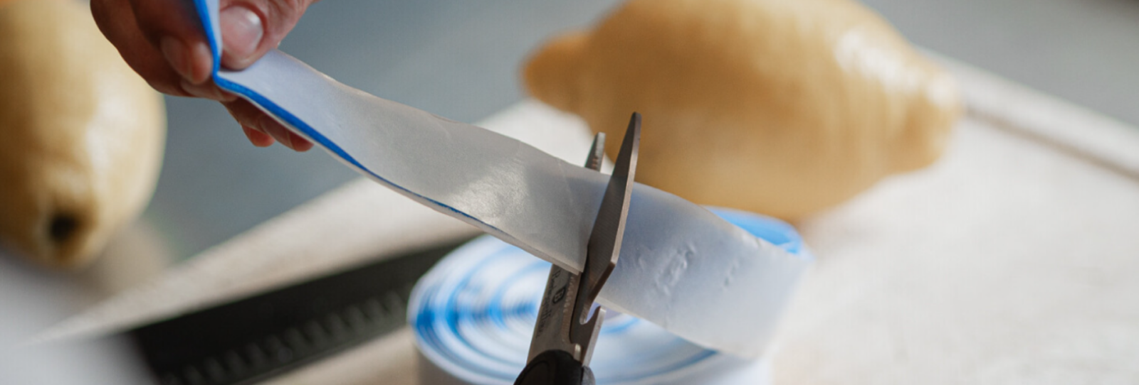 Blue detectable plasters: what they are and why they are used - PVS-SPA